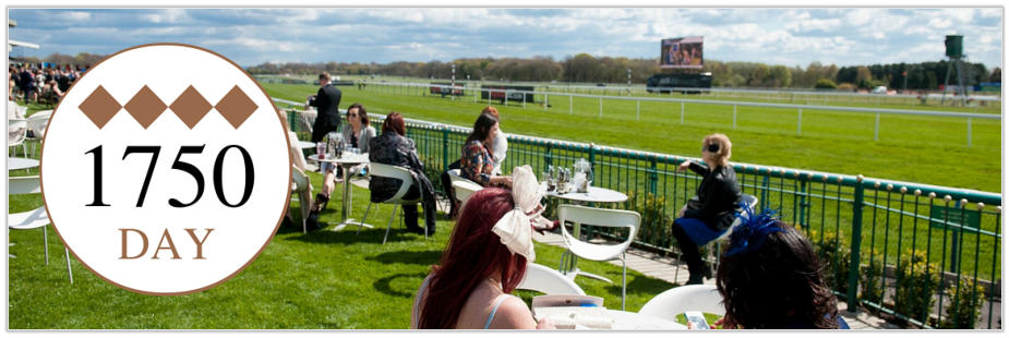 Haydock Park Race Day 2017
